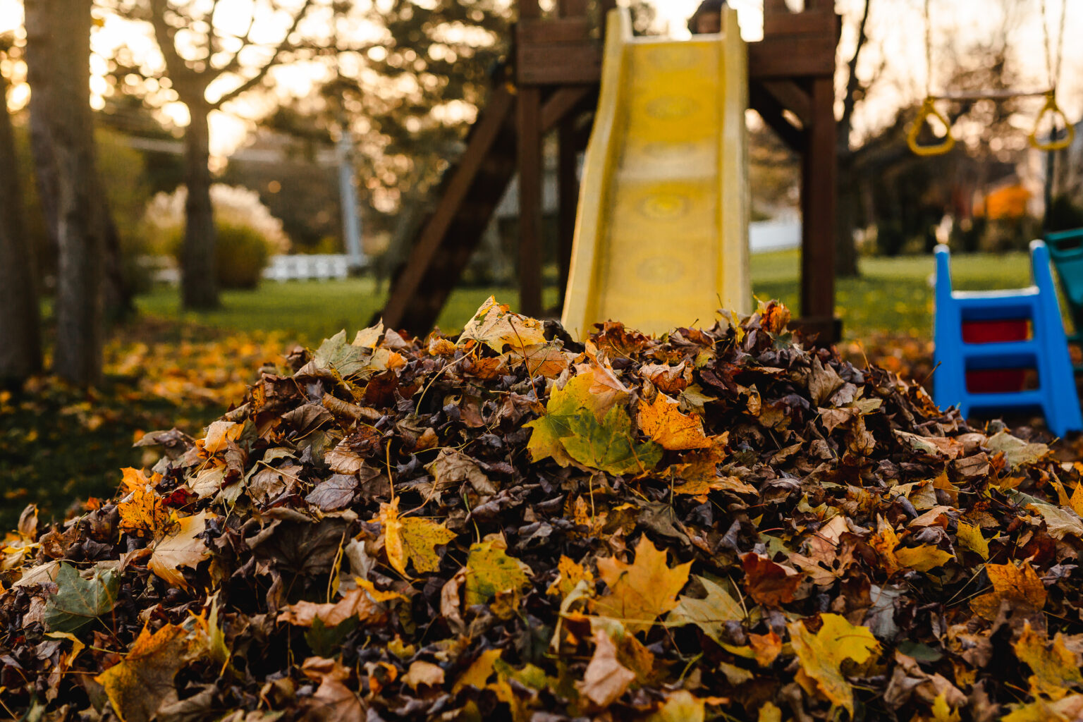 5 Tips for Running in the Fall - Magic for Miles