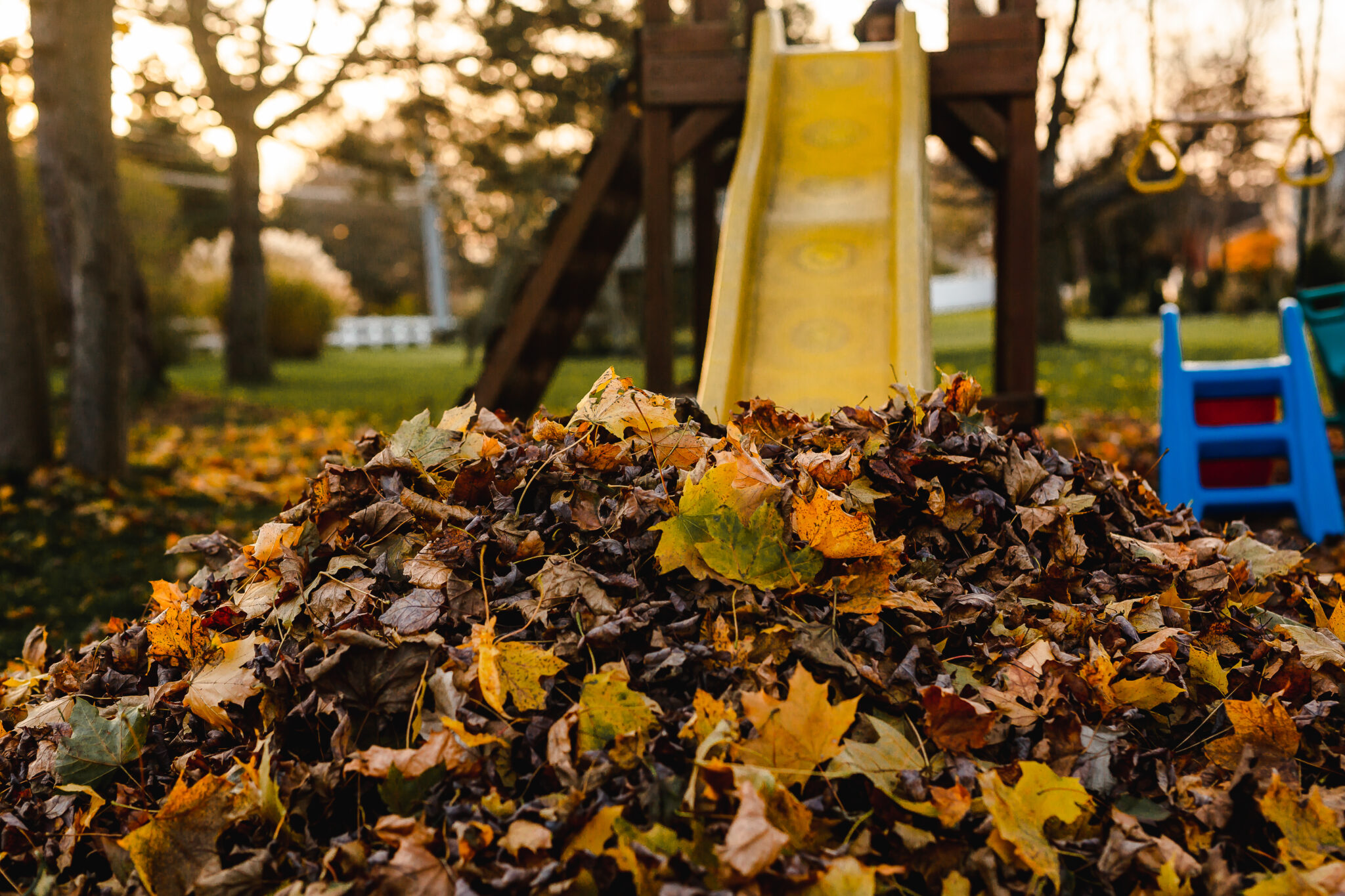 5 Tips for Running in the Fall - Magic for Miles